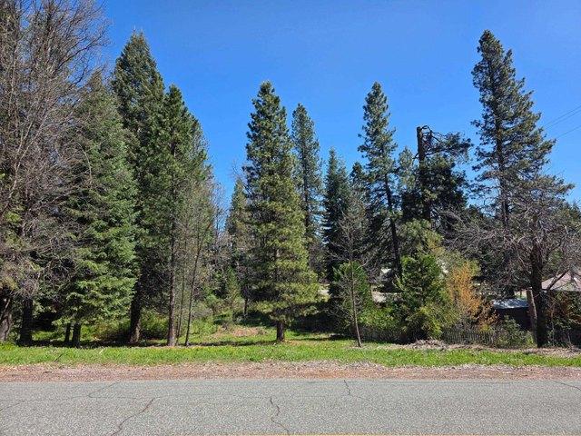 Colombero Dr Lot W, McCloud, CA 96057