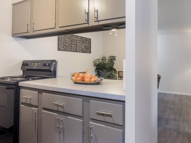 Colony Club 1 Bedroom Apartment for Rent at 681 Turney Rd, Bedford, OH 44146 Bedford