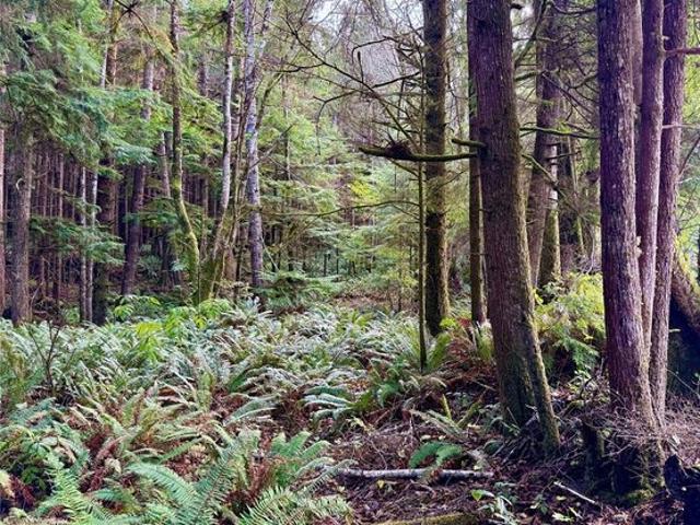 Copalis Beach Rd, Copalis Beach, WA 98535