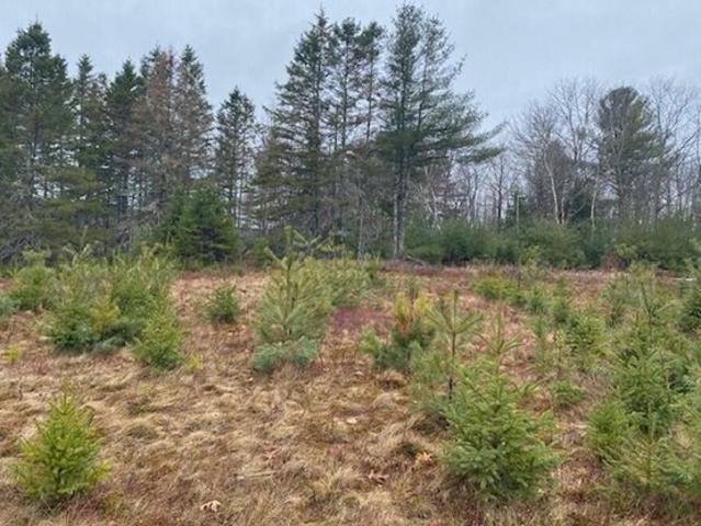 Copeland Hill Rd Lot,holden, Plot For Sale