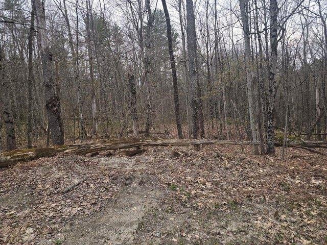Copeland Rd, Unity, NH 03603