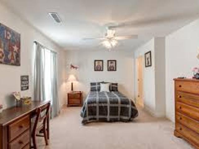 Copper Beech Sublease 3x3