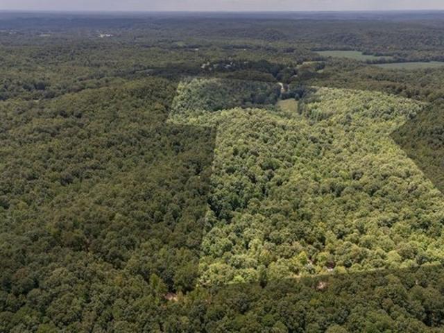 Copperhead Ln, Olivehill, TN 38475