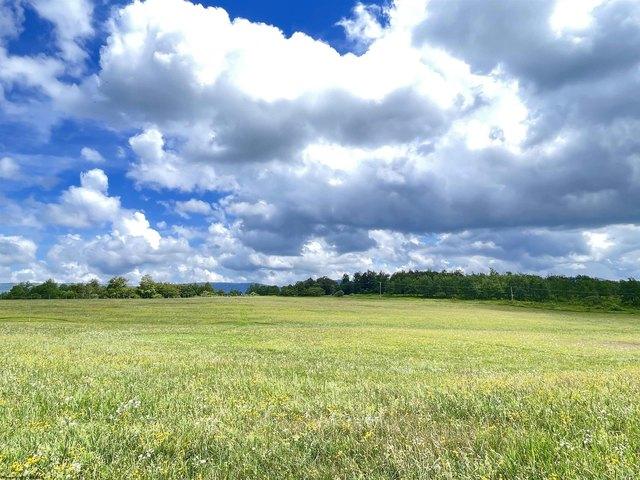 Cortland Rd Lot A, Davis, WV 26260