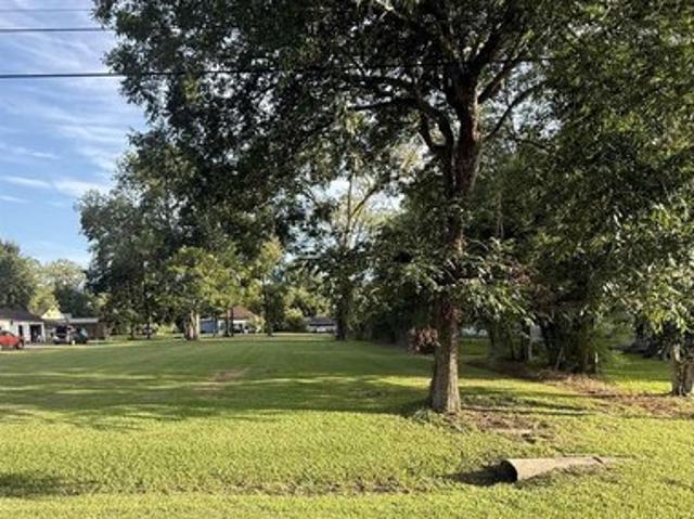 Cora Lee, Sour Lake, TX 77659