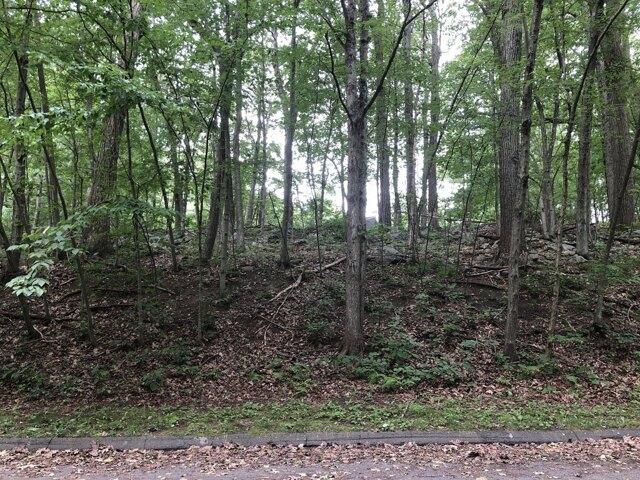 Coral Dr, Plymouth, Plot For Sale