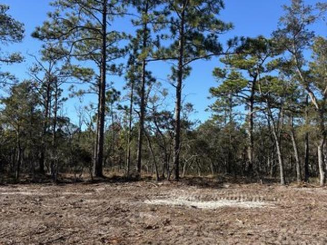 Coral Gull St Lot 125, Southport, NC 28461