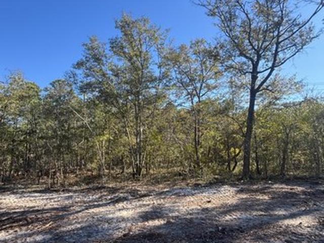 Coral Gull St Lot 200, Southport, NC 28461