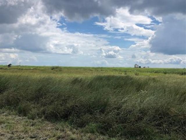 Coral Ln Lot 166, Palacios, TX 77465