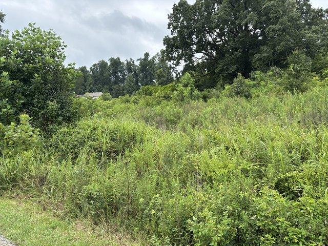 Coral Ln Lot 44, Mount Vernon, KY 40456