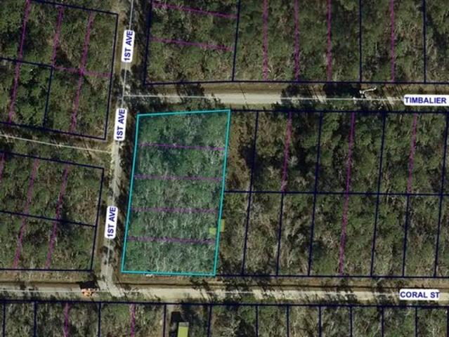 Coral St, Waveland, MS 39576