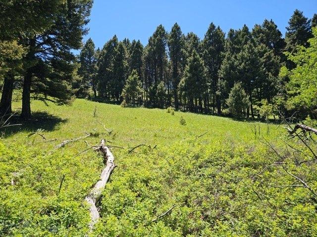 Corbin Rd, Jefferson City, MT 59638