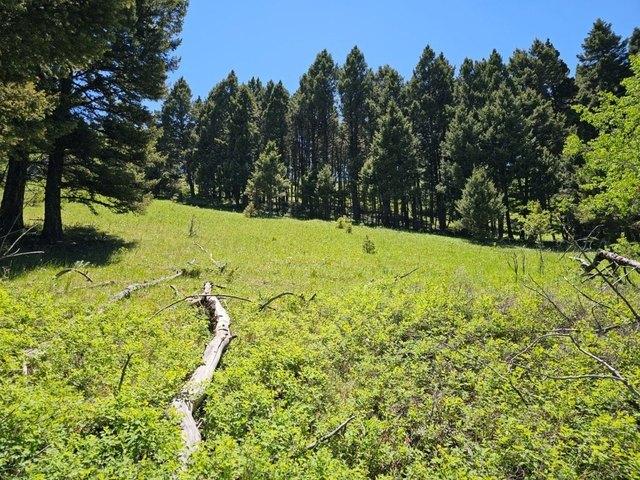 Corbin Rd, Jefferson City, MT 59638