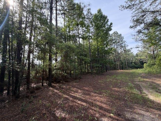 Corbin Rd, Newton, AL 36352