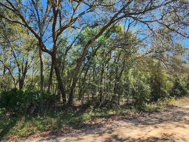 Cordell Ave, Interlachen, FL 32148