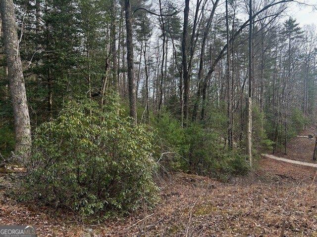 Corinth Church Rd, Cleveland, GA 30528