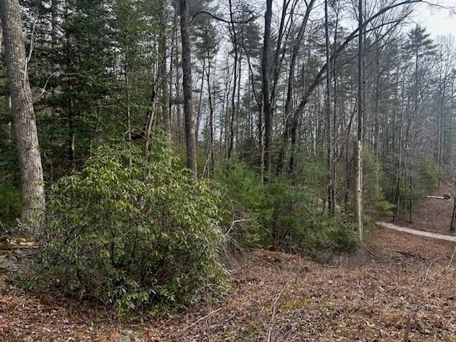 Corinth Church Rd, Cleveland, GA 30528