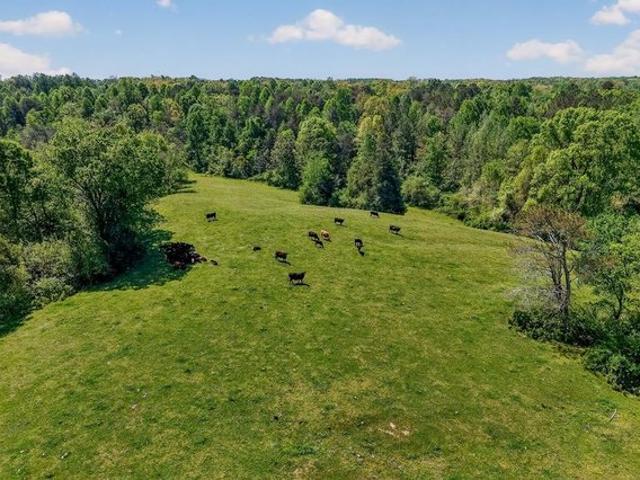 Corinth Church Rd, Smithville, TN 37166