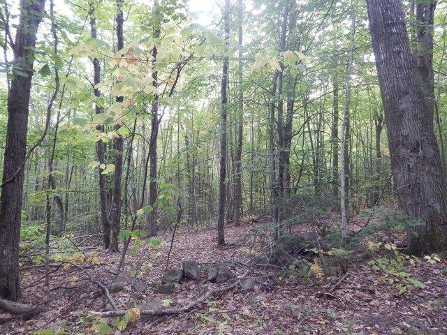 Corn Hill Rd Lot Rl, Brownfield, Plot For Sale