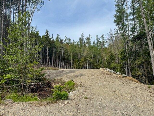 Corn Hill Rd, Machiasport, Plot For Sale