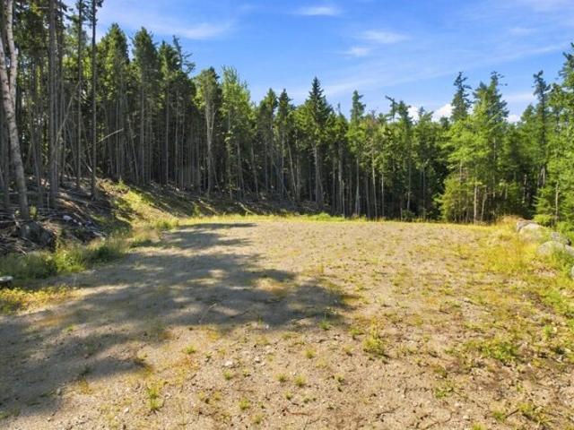 Corn Hill Rd, Machiasport, Plot For Sale