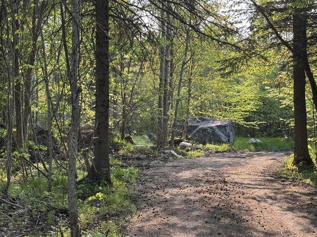 Corner Cnr of Lowder and Williams Hill Rd, Grand Marais, MI 49839