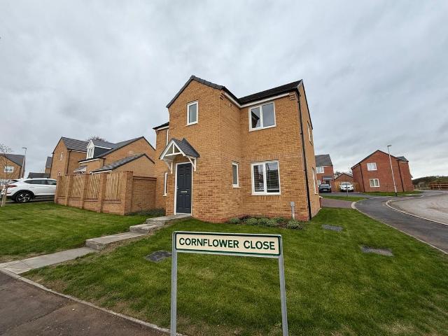 Cornflower Close, Sutton In Ashfield, Mansfield NG17, 3 bed detached house to rent, £1,300 pcm | PrimeLocation