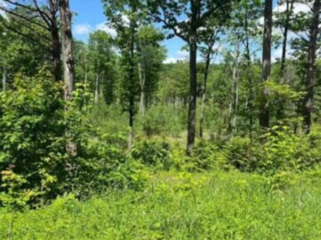 Corno Rd Lot All And Canaan St # Lots, Canaan, Plot For Sale