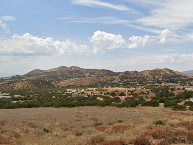 Corradi Ter, Acton, CA 93510 | MLS #25004