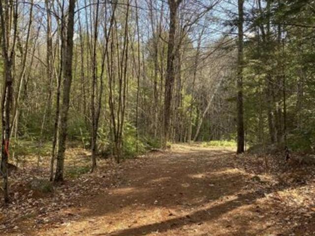 Corrigan Way, Windsor, Plot For Sale