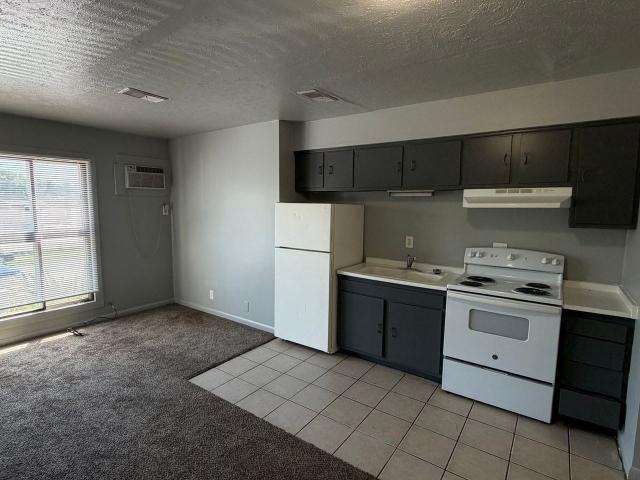 Corsica Cottonwood Apartments 1 Bedroom Apartment for Rent at 1115 N 48th St, Omaha, NE 68132 Dundee