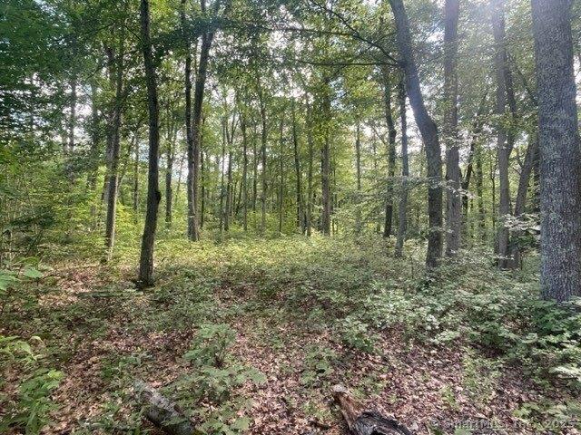 Costa Ln, Redding, Plot For Sale