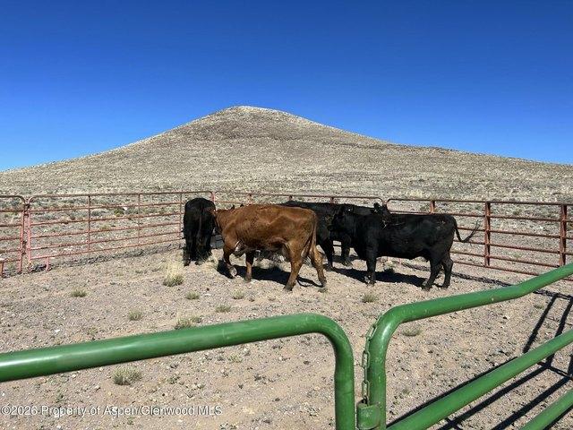 Costilla County Parcel 400022, Blanca, CO 81123