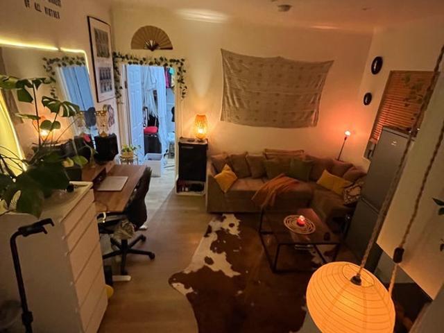 Cosy stylish cocoon to sublet