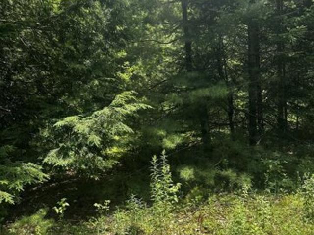 Cottage Ln, Orland, Plot For Sale