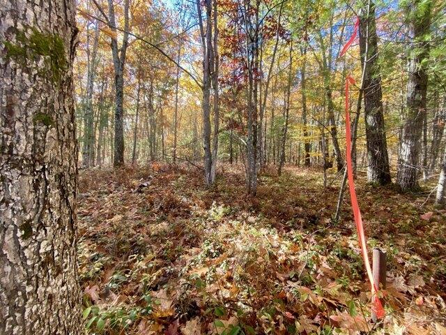 Cottage Ln, Brownfield, Plot For Sale