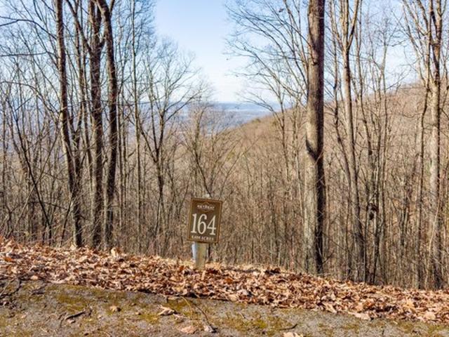 Cottage Row Retreat on White Rock Mtn Unit The, Caldwell, WV 24925