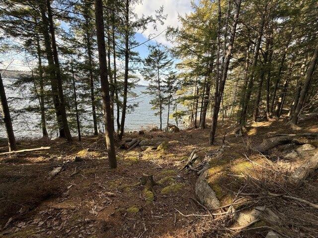 Cottage Shore Dr, Holden, Plot For Sale