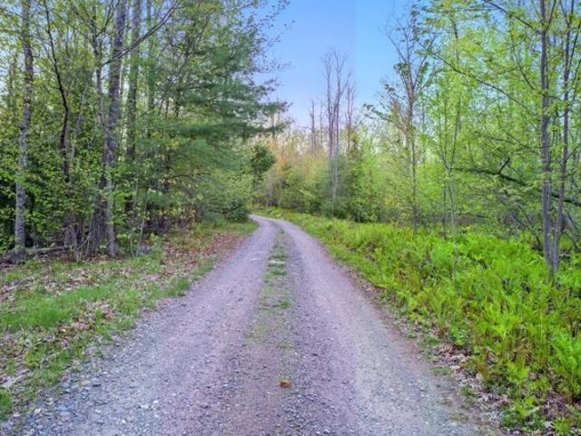 Cottage Shore Drive, Holden, Plot For Sale