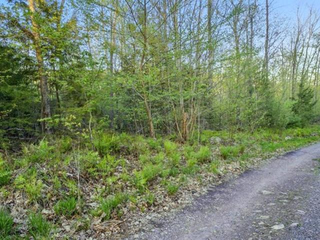 Cottage Shore Drive, Holden, Plot For Sale