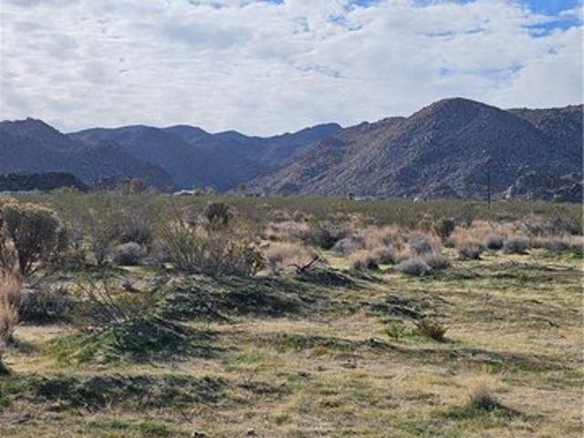 Cottonwood Dr, Joshua Tree, CA 92252