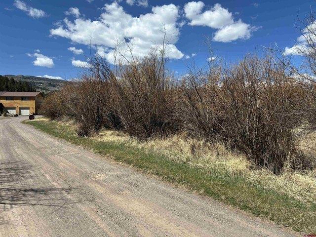 Cottonwood Dr Lots 25 & 26, Antonito, CO 81120