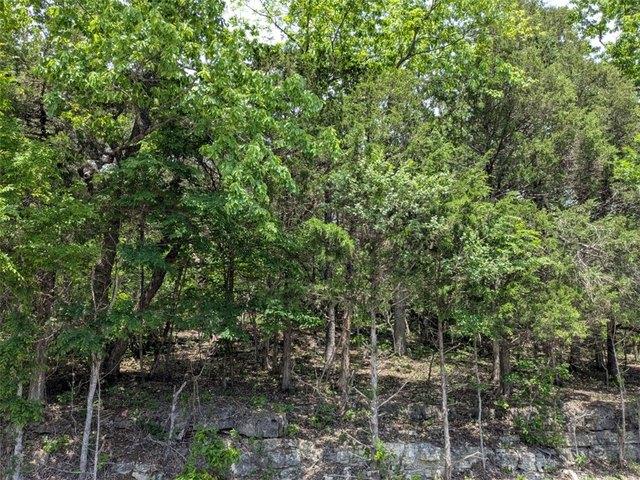 Cottonwood Ln Lot 14, Holiday Island, AR 72631