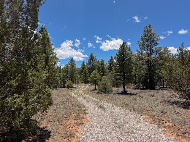 Cottonwood Ln Lots 7 & 8, Ramah, NM 87321