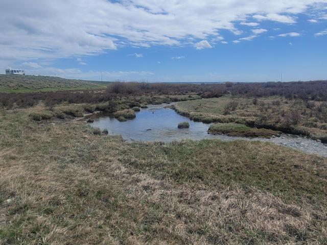 Cottonwood rye Grass 23 117, Big Piney, WY 83113 | MLS #25 1023 | Compass