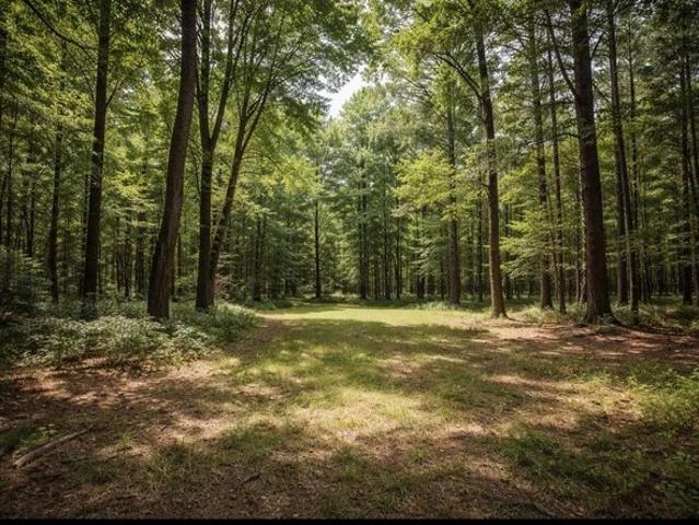 Cotton Gin Rd, Russellville, AL 35653
