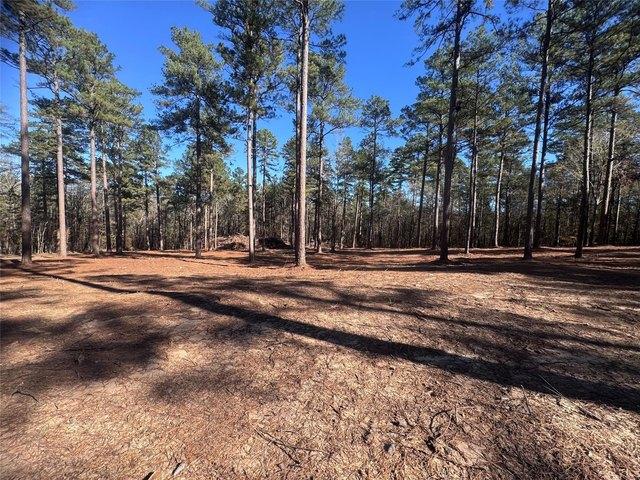 Cotton Ln, Minden, LA 71055