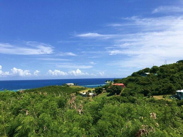 Cotton Vly # Eb, Saint Croix, Plot For Sale