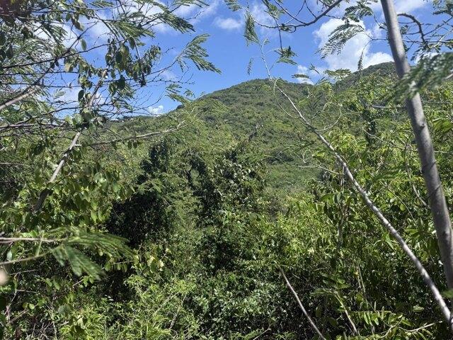 Cotton Vly # Eb, Saint Croix, Plot For Sale