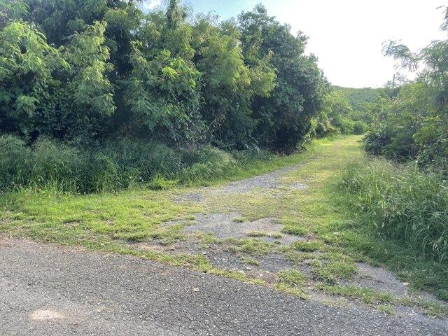 Cotton Vly # Eb, Saint Croix, Plot For Sale